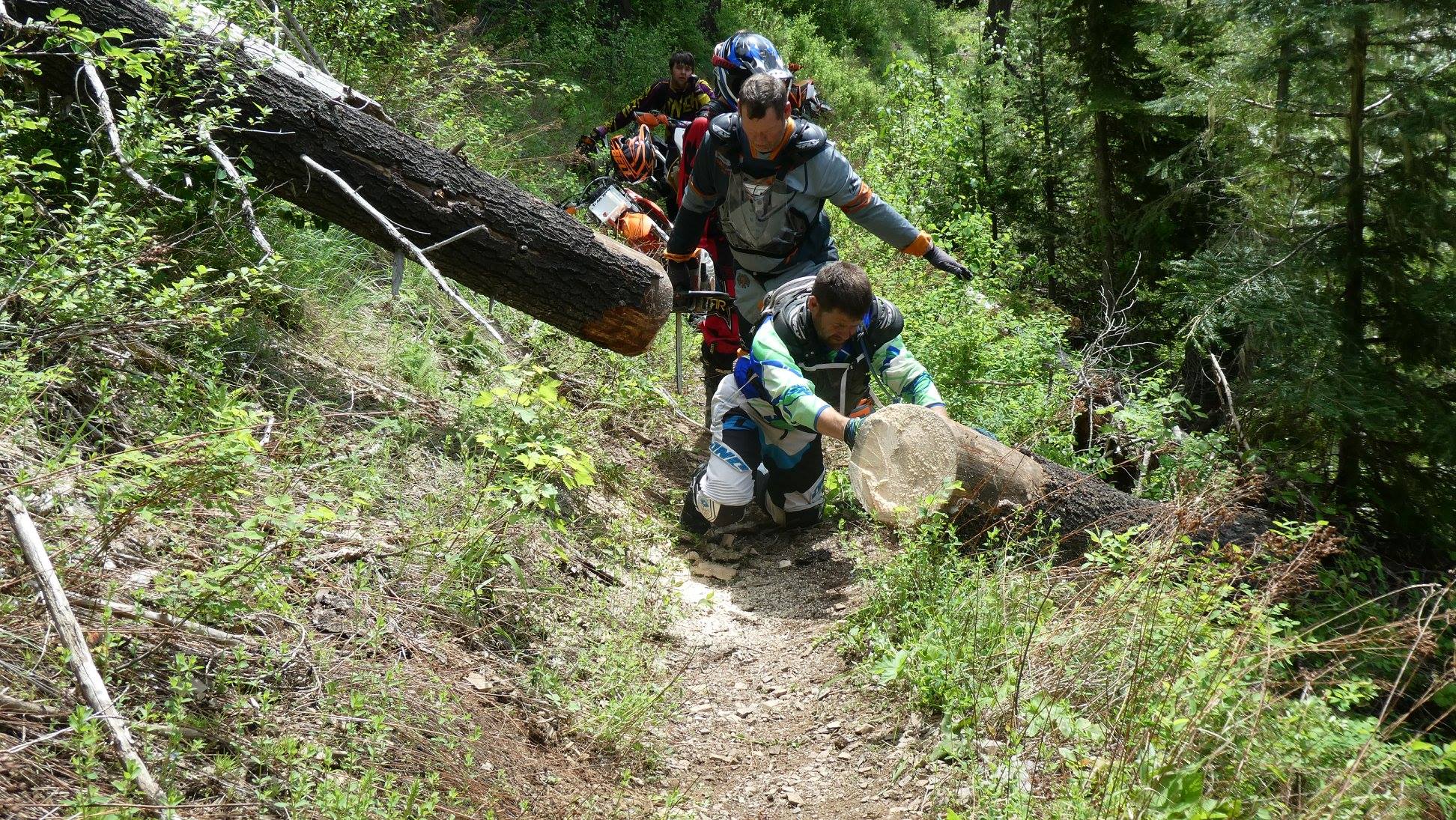 Trail Clearing Photos – PANTRA