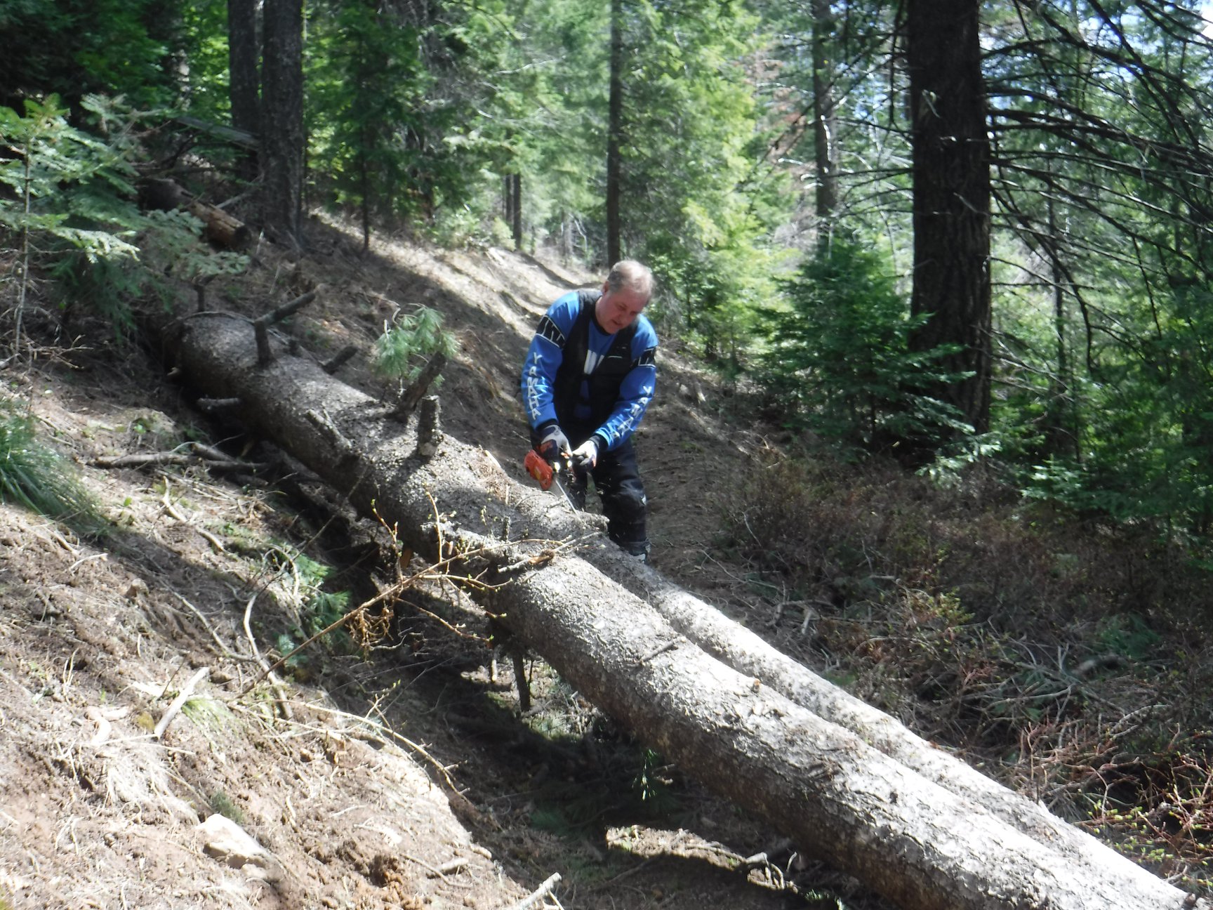 Trail Clearing Photos – PANTRA