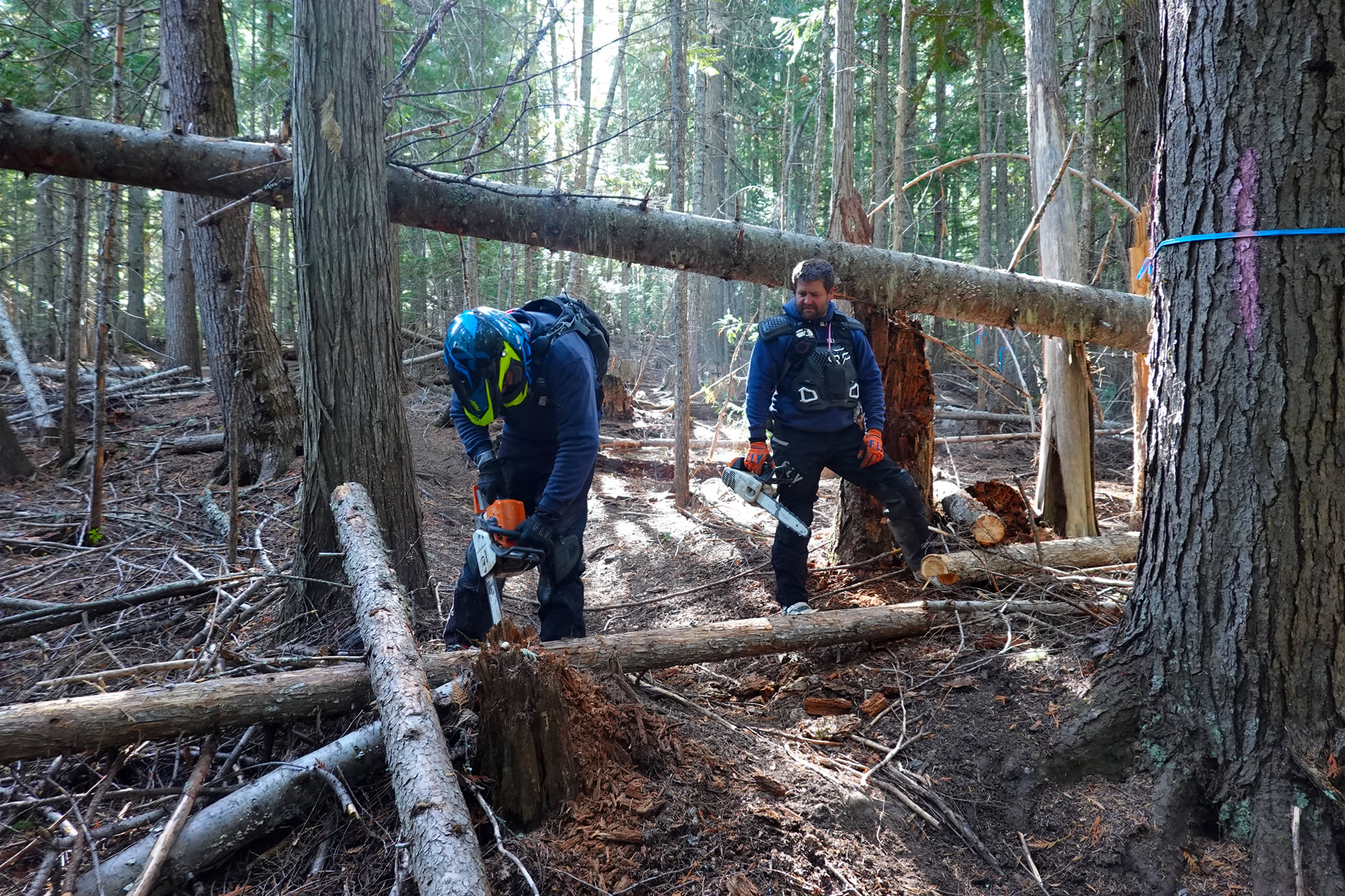 Trail Clearing Photos – PANTRA